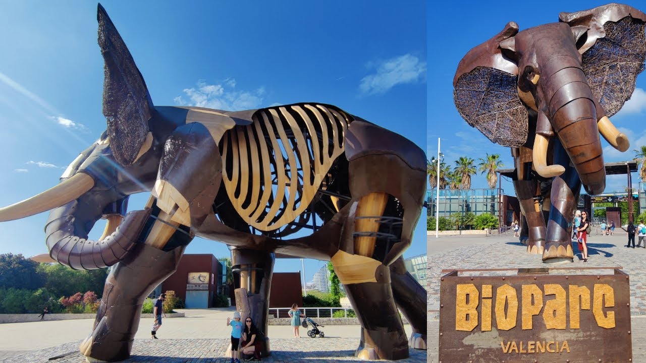 Into the Wild: Valencia Bioparc Zoo Adventure - YouTube