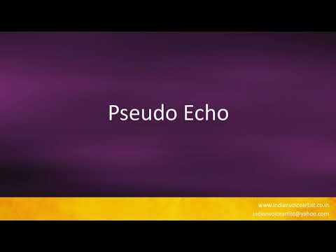 Pronunciation of the word(s) "Pseudo Echo". - YouTube