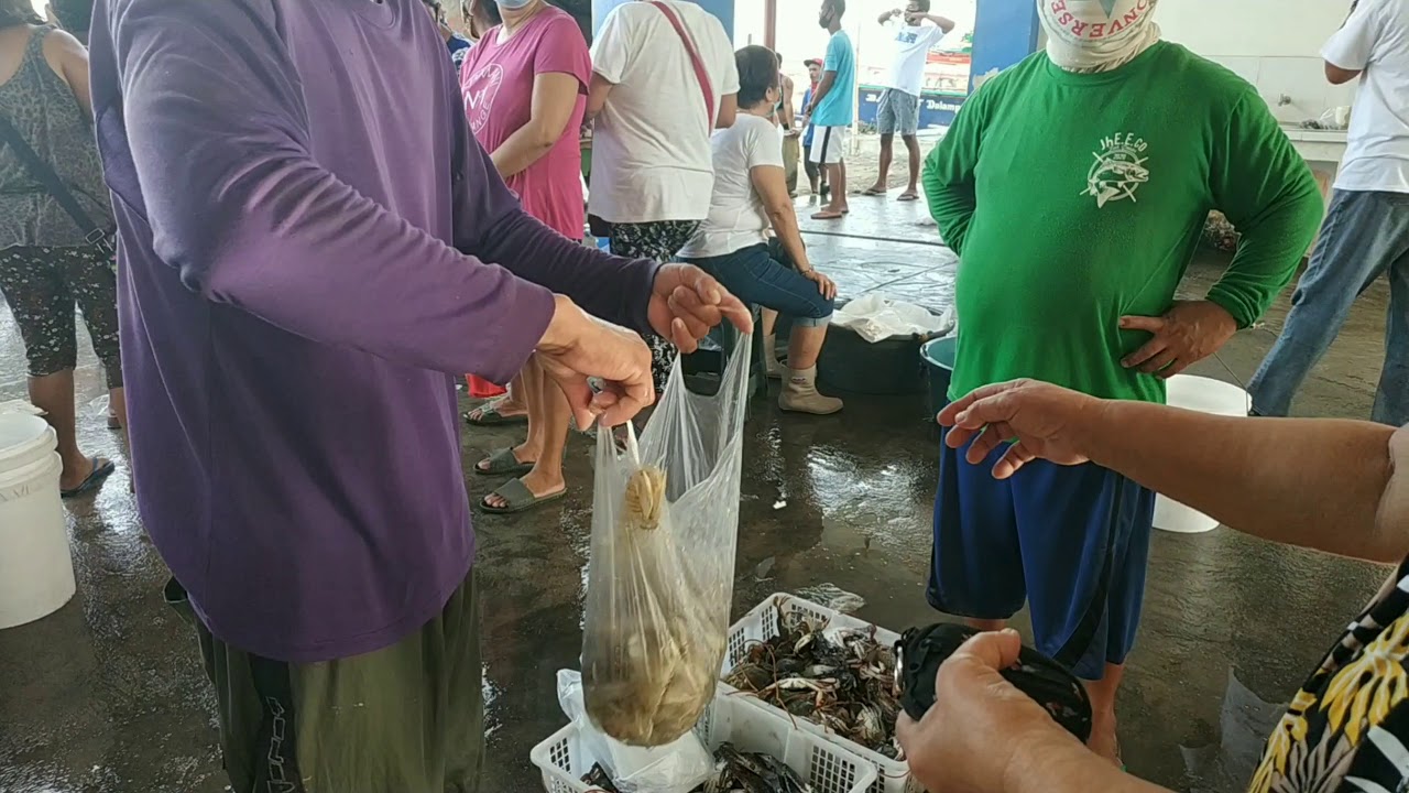 Hipon Urong / Pagbili sa Fish Terminal At Pagluto ni Inay - YouTube