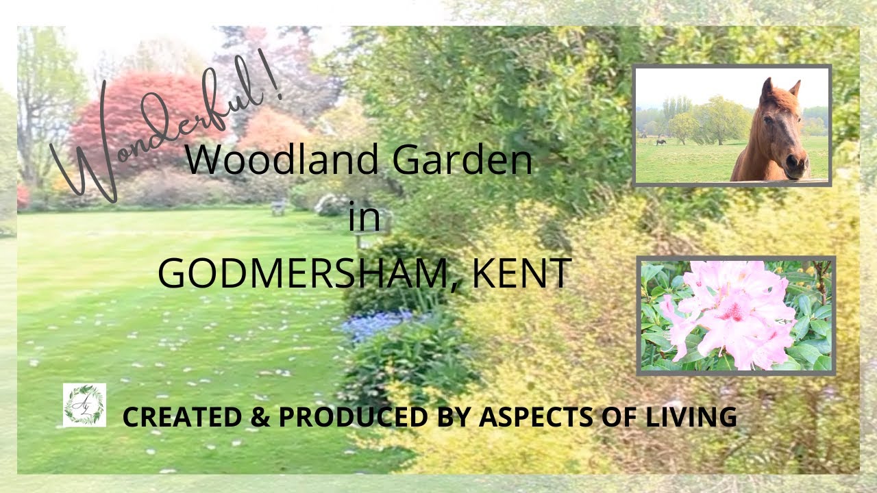 Wonderful Woodland Garden in Godmersham Kent - YouTube