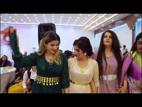 Beautiful Arabic girl's dance performance  video |royalty free dance video |