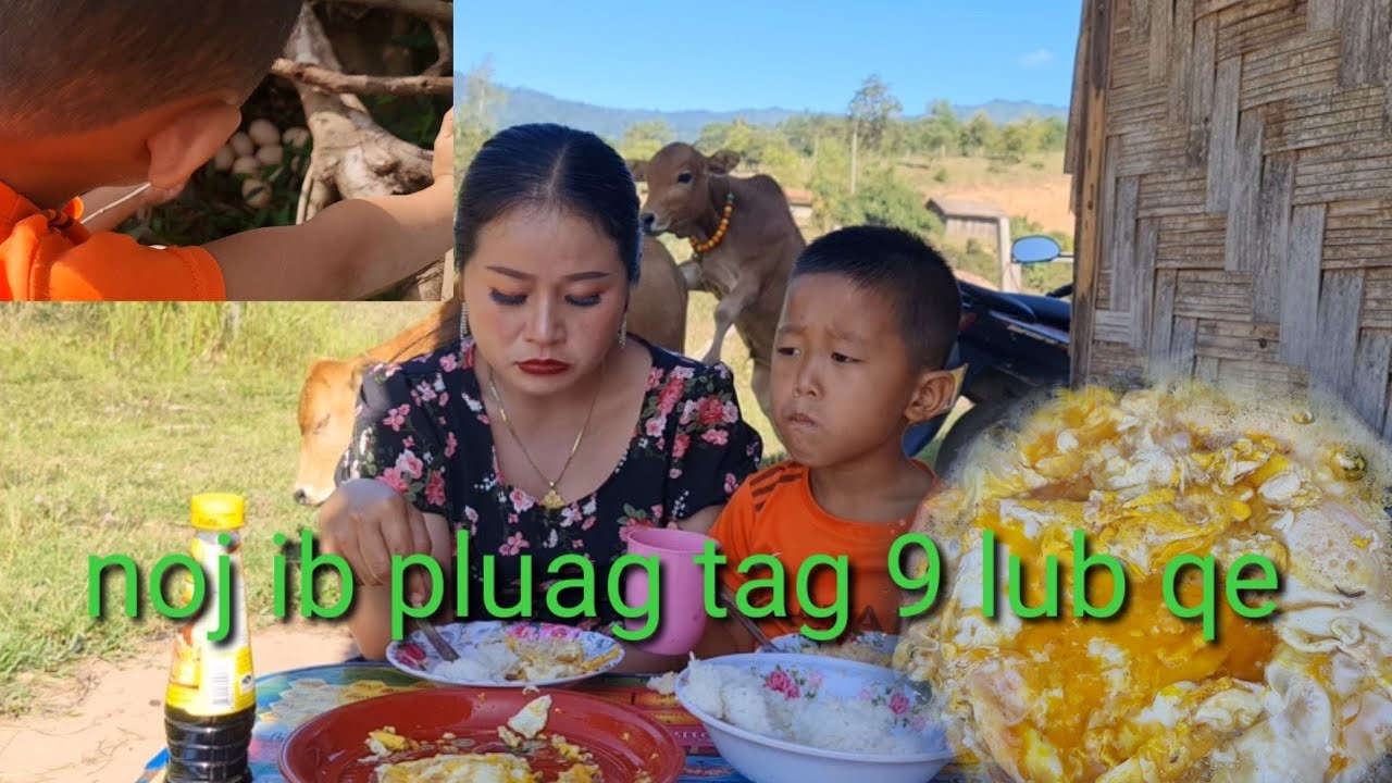 noj ib pluag tag 9 lub qe qaib qab kawg.3.12.2022 - YouTube