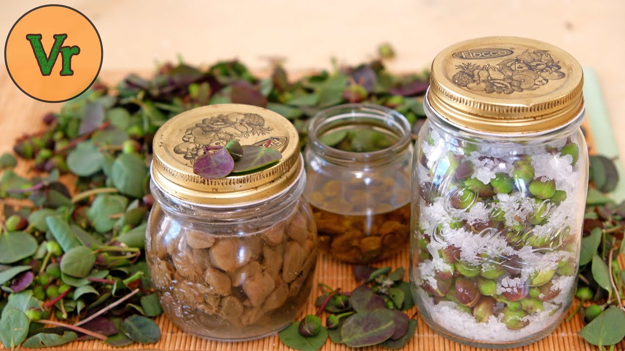 Comment conserver les câpres | Sel, huile ou vinaigre - YouTube