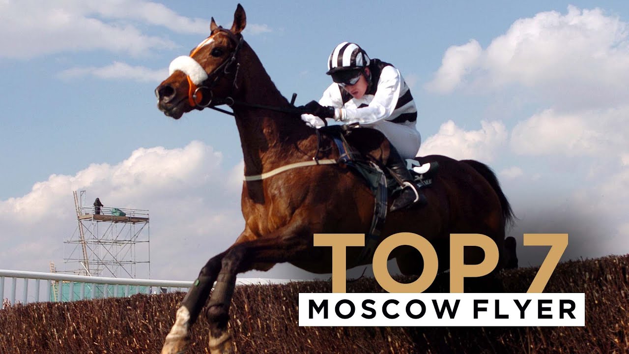 MOSCOW FLYER'S TOP 7 WINS AT JOCKEY CLUB COURSES INCLUDING CHELTENHAM ...