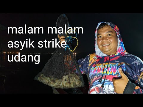Malam malam Mancing udang di sungai jembayan lagi Alhamdulilah masih banyak strike nya