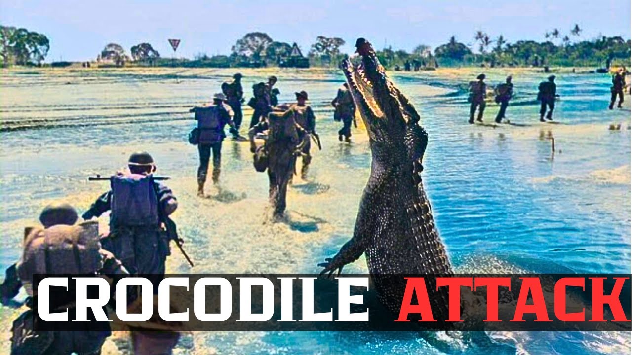 The Mystery Of Ramri Island or The Largest Crocodile Attack In History ...