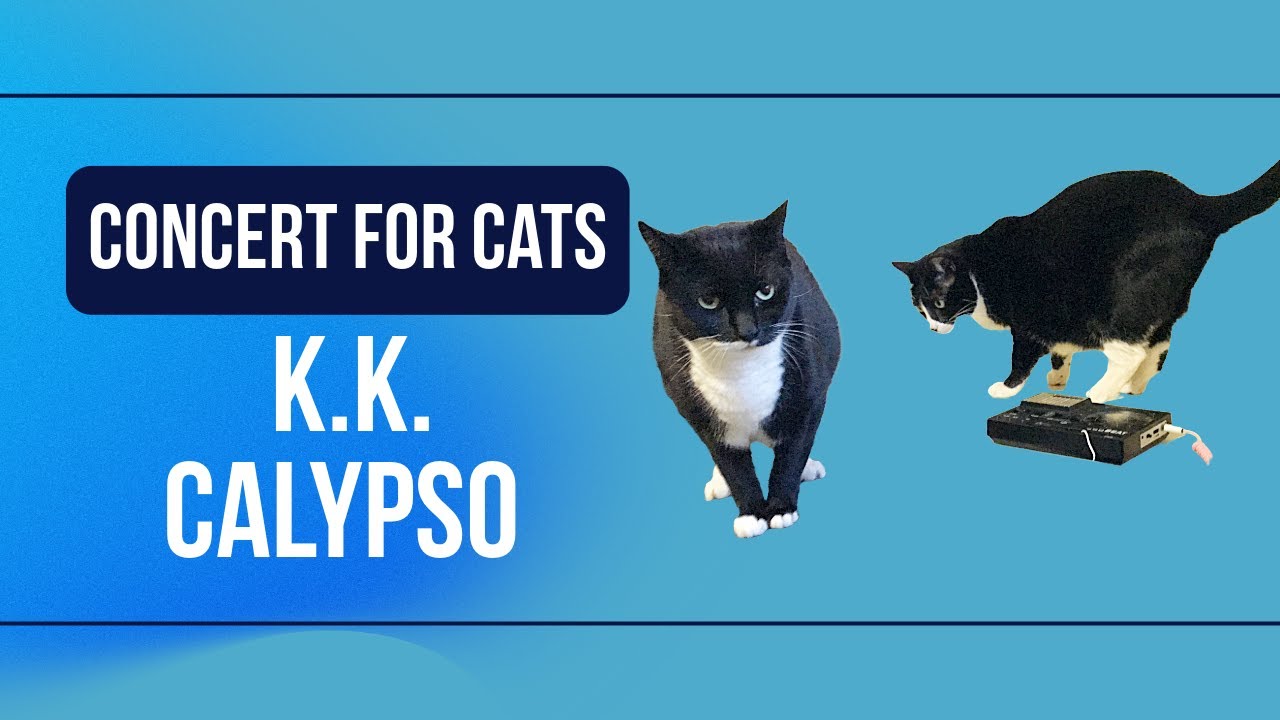 Concert for Cats: K.K. Calypso (ACNH) - YouTube