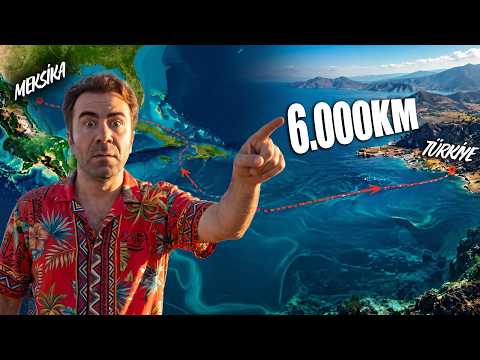 Dünyanın En Garip Yolculuğu: 6.000 Km Yüzüp Eve Dönmek
