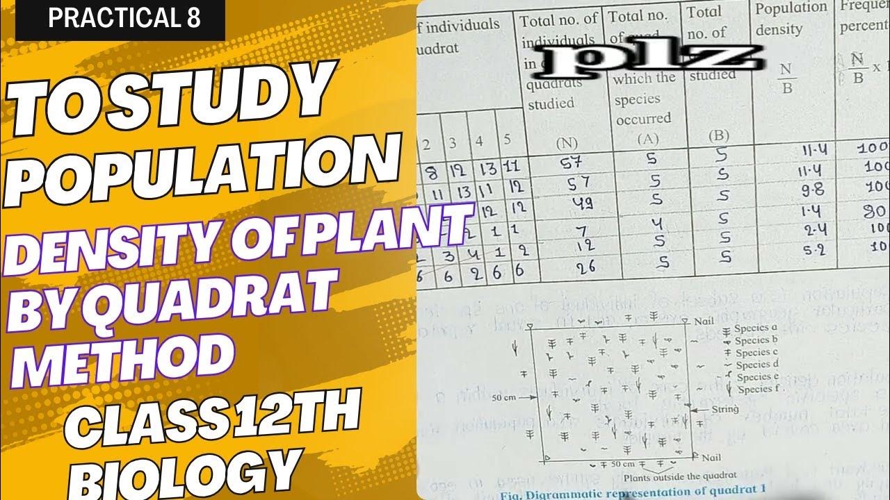 experiment no 8 study of population density by quadrat method #class12thbiology - YouTube