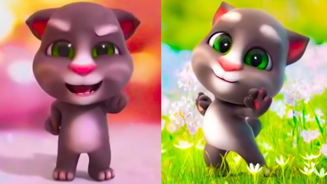😳Tik Tok Talking Tom & Baby Tom Dance - YouTube