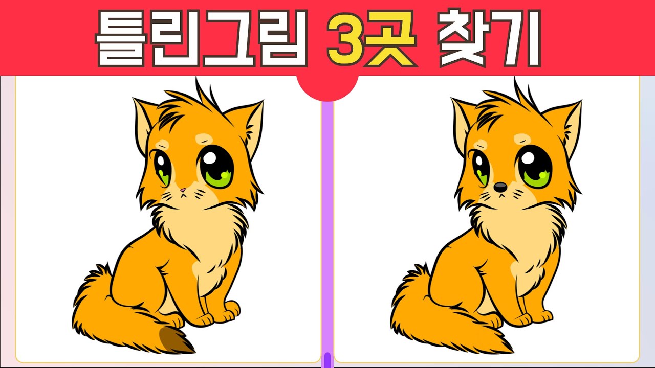 기억력 향상 프로젝트 귀여운 고양이 틀린그림찾기 Find The 3 Differences 집중력 기억력 다른그림