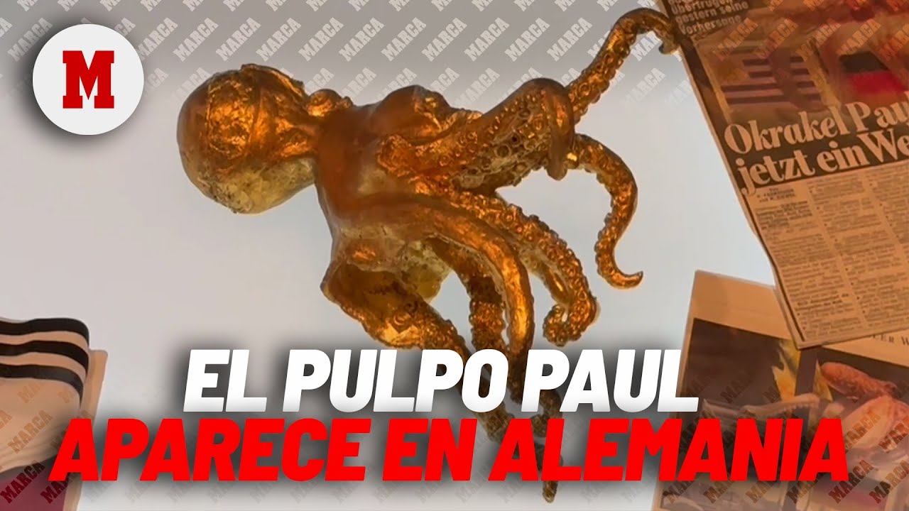 ¡Aparece de nuevo! El Pulpo Paul es encontrado en Alemania 14 años ...