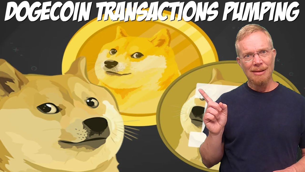 Dogecoin On-Chain Transaction Volume Pumping - YouTube