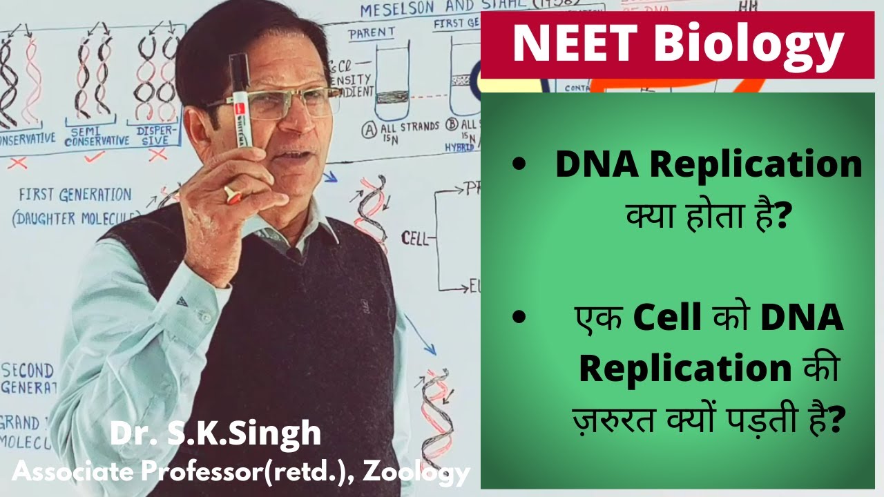 Why Does a Cell Need to Undergo DNA Replication? || NEET Biology - YouTube