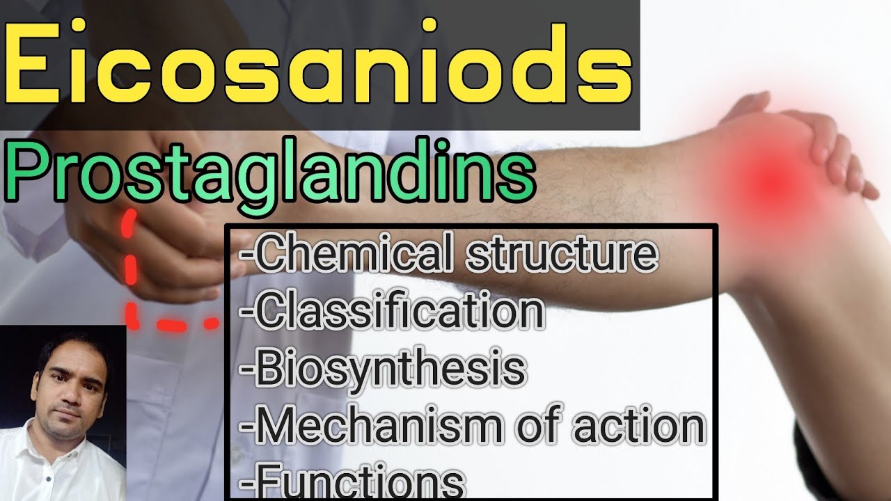 Eicosanoids: Prostaglandins (Structure,Classification,Biosynthesis ...