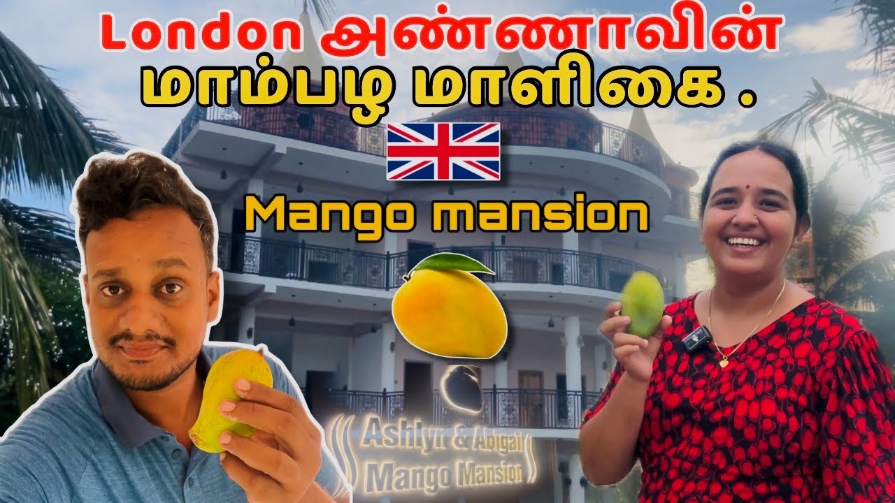 யாழில் பிரமாண்டமான பல வசதிகளுடன் மாம்பழ மாளிகை | Mango Mansion | Jaffna ...