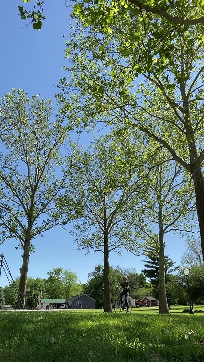 Brake test. - YouTube