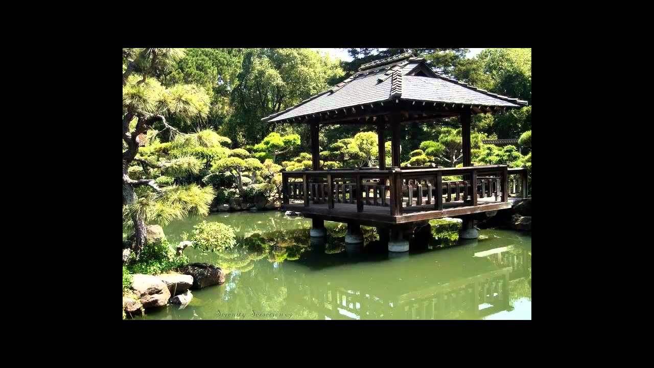 Música Instrumental tradicional Japonesa Koto Sakura - YouTube