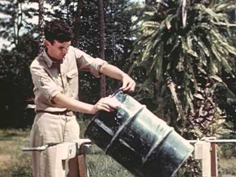 DDT 1944 US Navy - YouTube