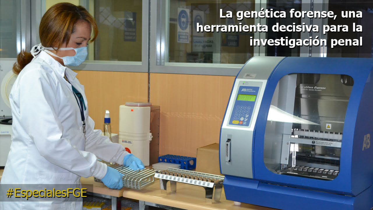 Especial Genética Forense - YouTube