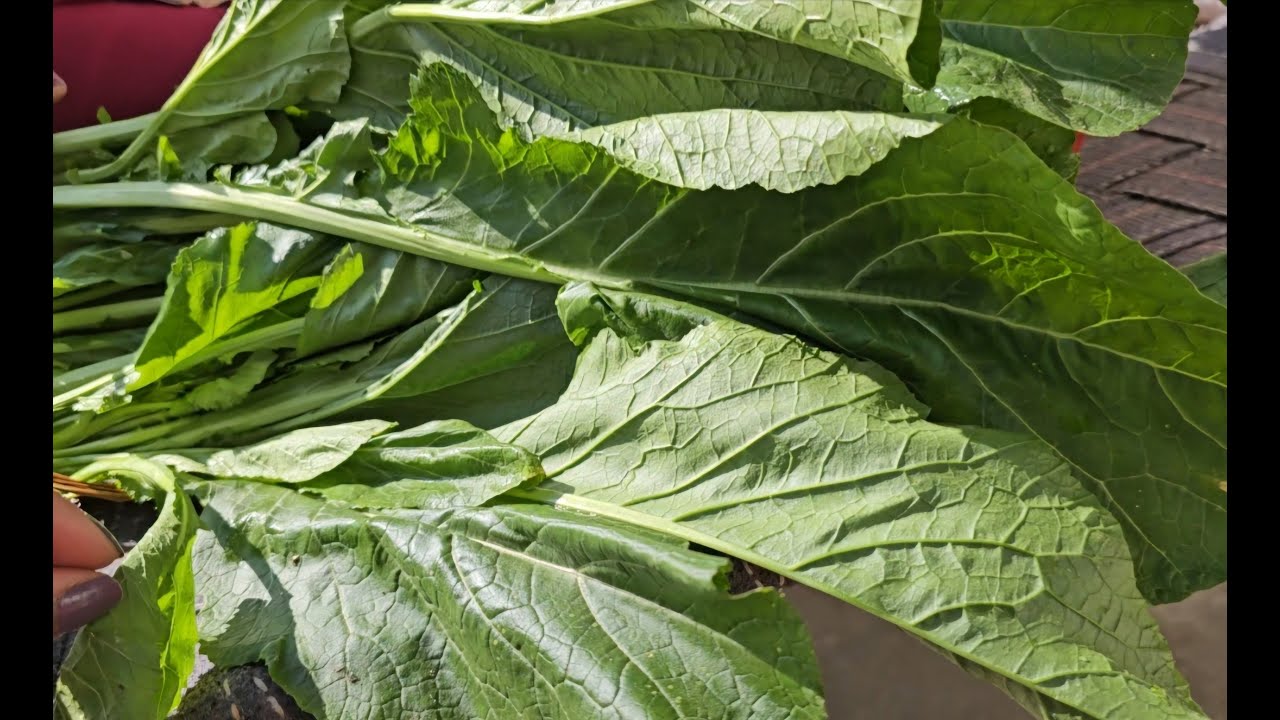 How to make Saag Recipe | Saag Recipe in a Pressure Cooker | Saag ...