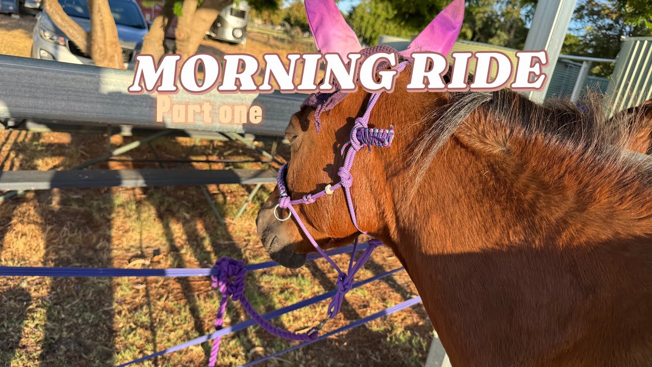 MORNING RIDE PART ONE - YouTube
