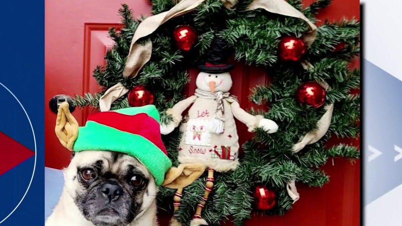 SHOW US: Who’s got the most holiday spirit? - YouTube