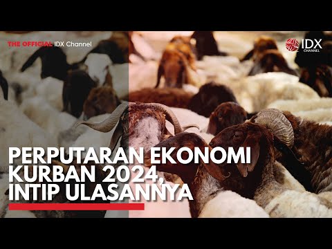 Perputaran Ekonomi Kurban 2024, Intip Ulasannya | IDX CHANNEL