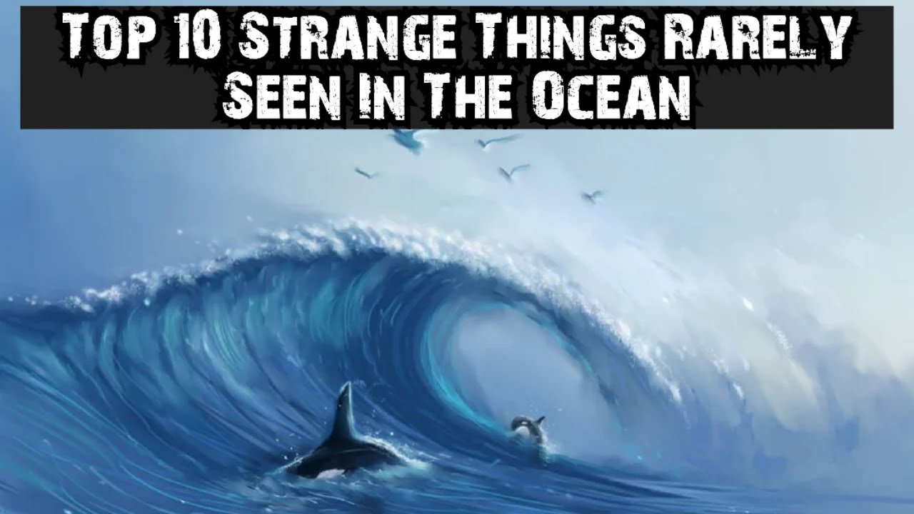 10 Unusual Animals That Live in the Ocean | Ocean Exploration | Unusual ...