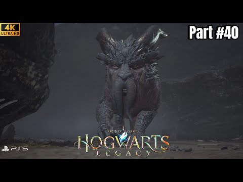 🦴 Hogwarts Legacy (4K / PS5) Walkthrough Part 40 – San Bakar’s Trial | Taming the Lord of the Shores