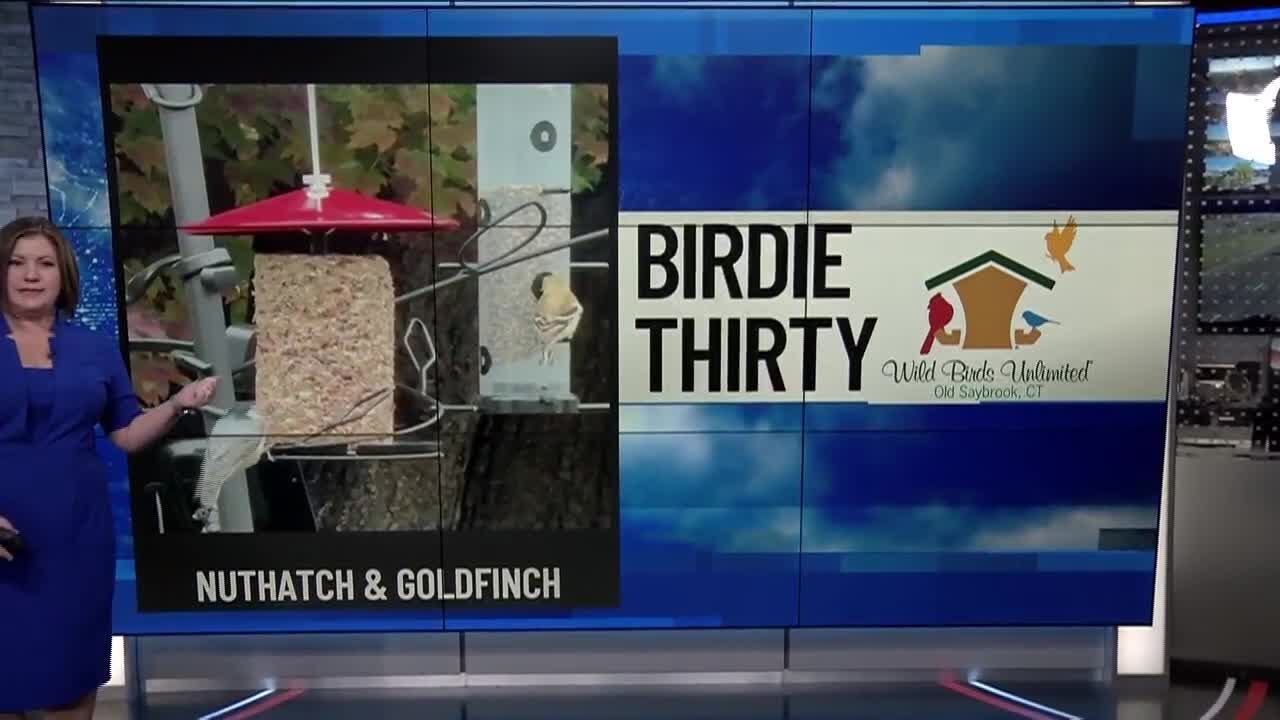 Birdie Thirty: Saturday, 10/12/24 at 9:30AM - YouTube
