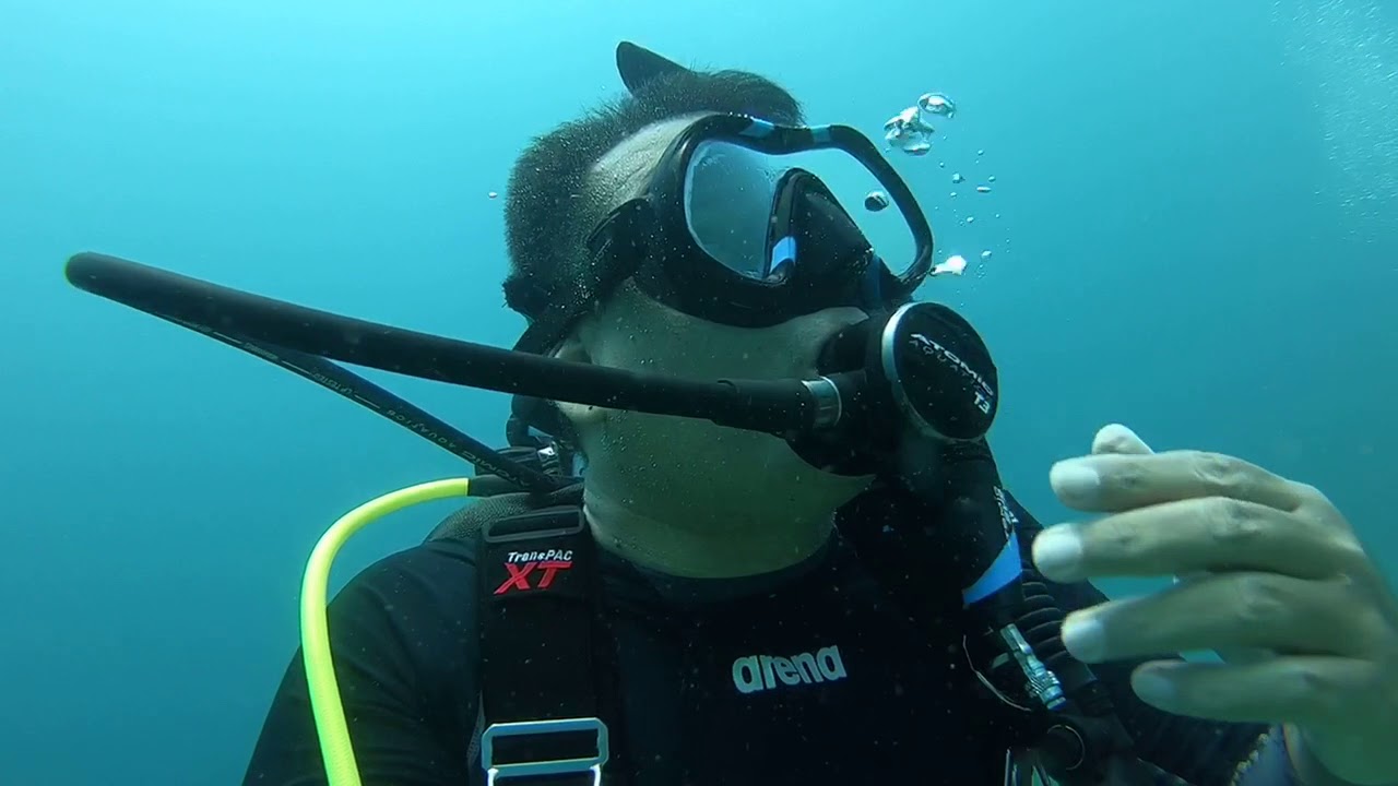 Glen Hapirulla’s Pirate Divers : Silam, Lahad Datu, Blue Ring Reef 2-4 ...