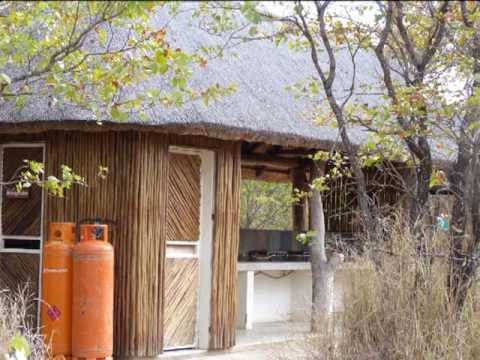 Kruger National Park Accommodations: Maroela and Tsendze camps - YouTube