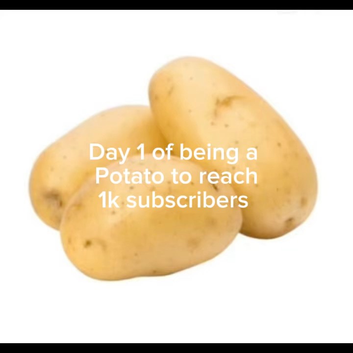 Day 1 of being potato #memes - YouTube