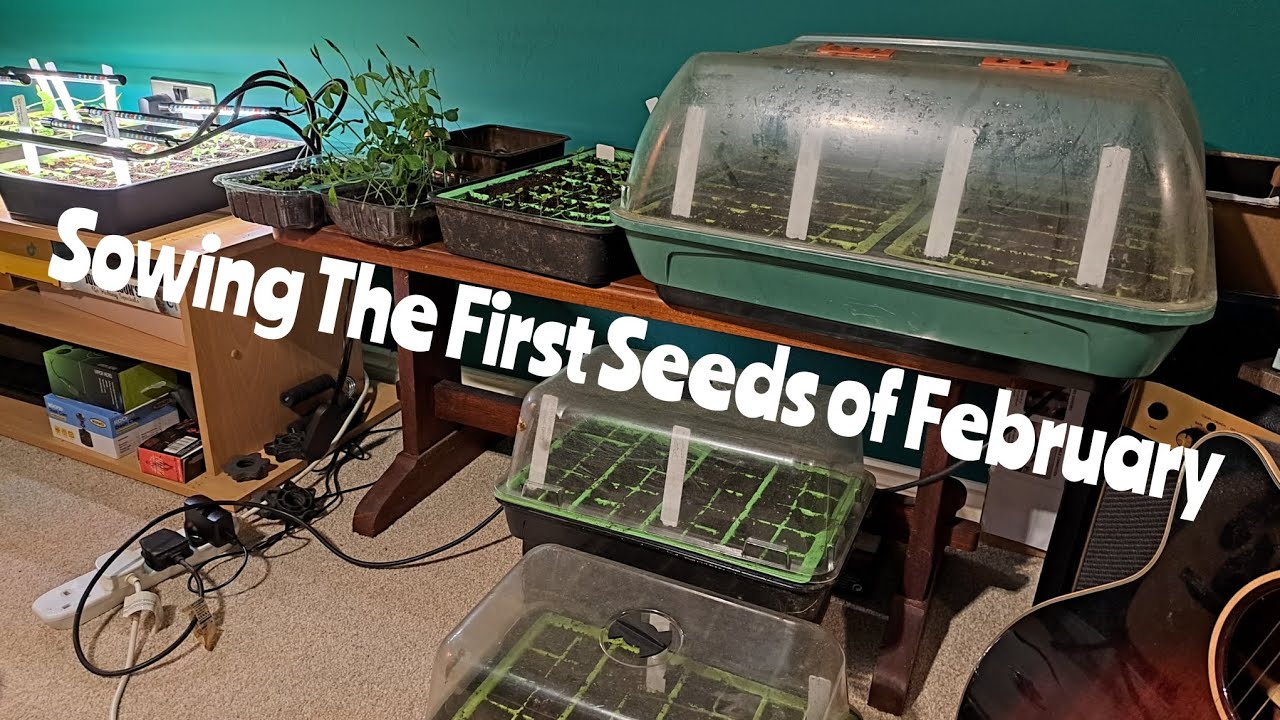 Sowing The First Seeds of February - YouTube