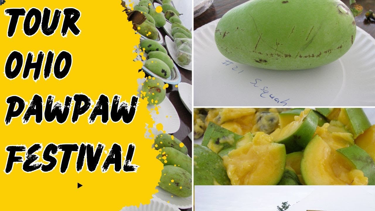 Pawpaws! Tour Ohio Pawpaw fest! - YouTube