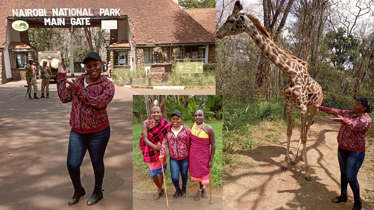 Nairobi National Park Safari Walk: A Close Encounter with Kenya's ...