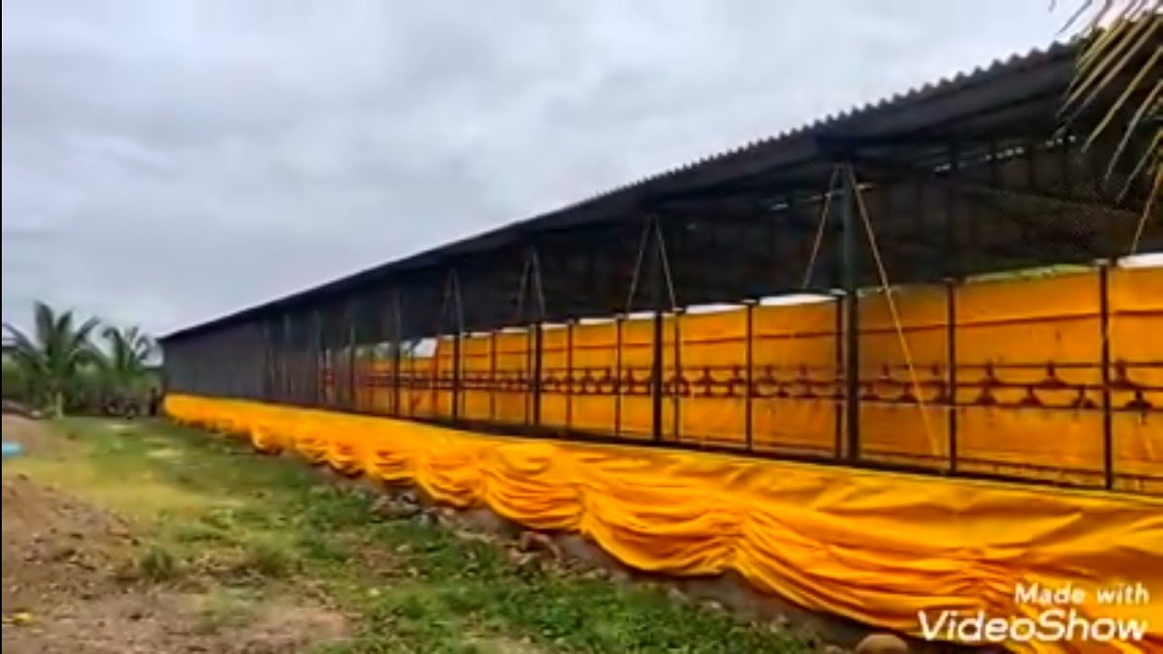 Automatic Winching system for Poultry Farm Curtains - YouTube