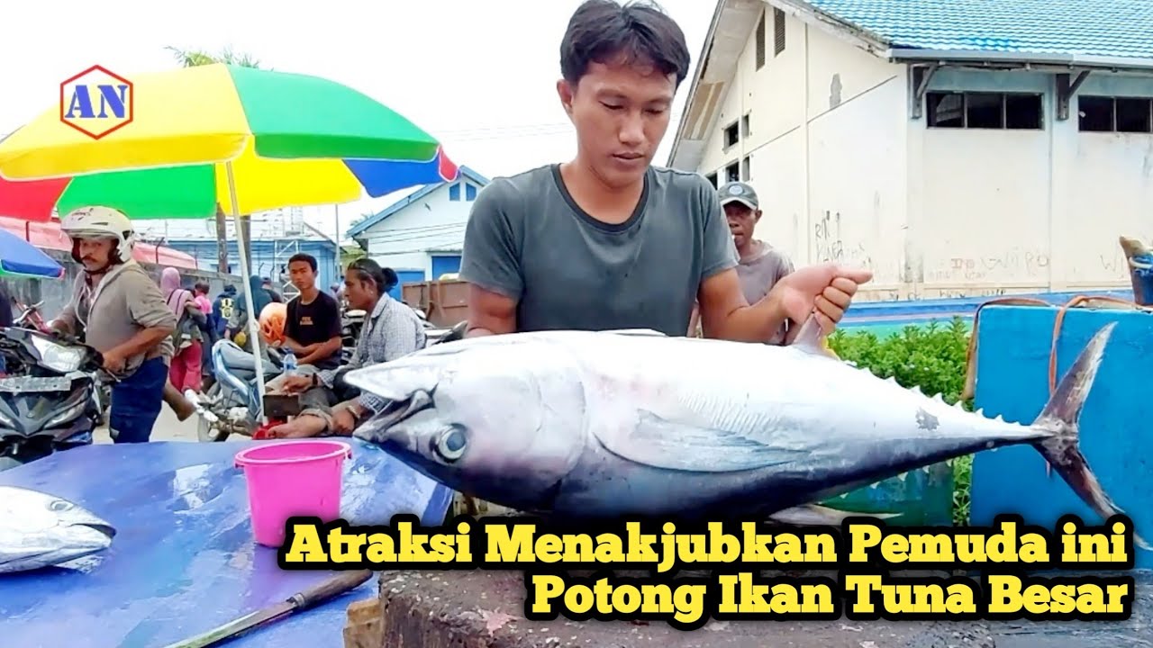 Atraksi Menakjubkan Pemuda ini Potong Ikan Tuna Besar Dengan Skill ...