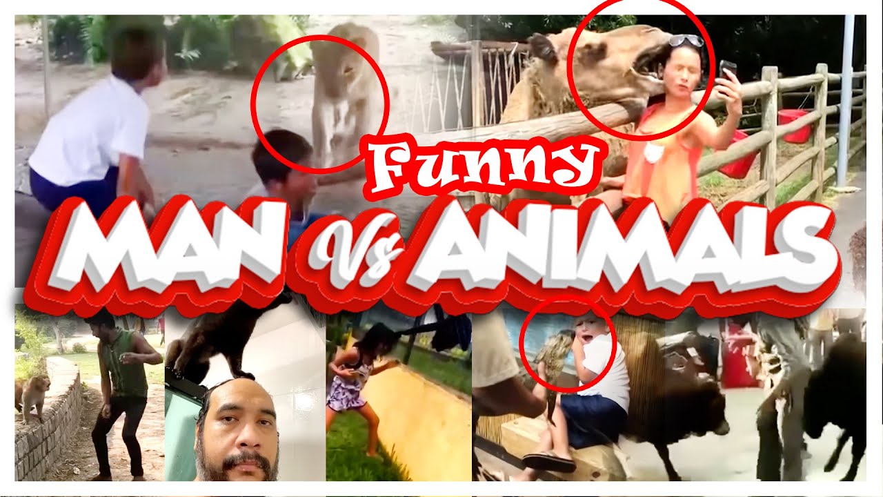 Funny Man Vs Animals 😂| #funnyvideo #funnyfails #manvsworld #comedy # ...
