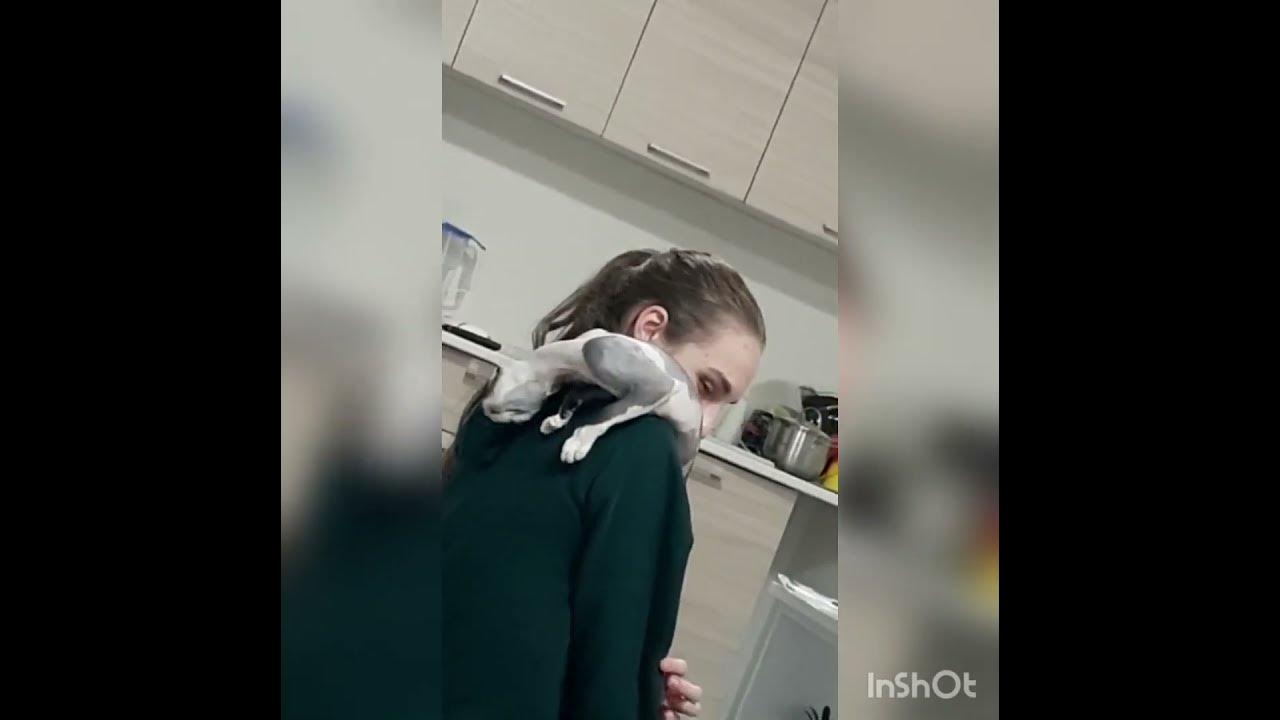 Лерчик!! - YouTube