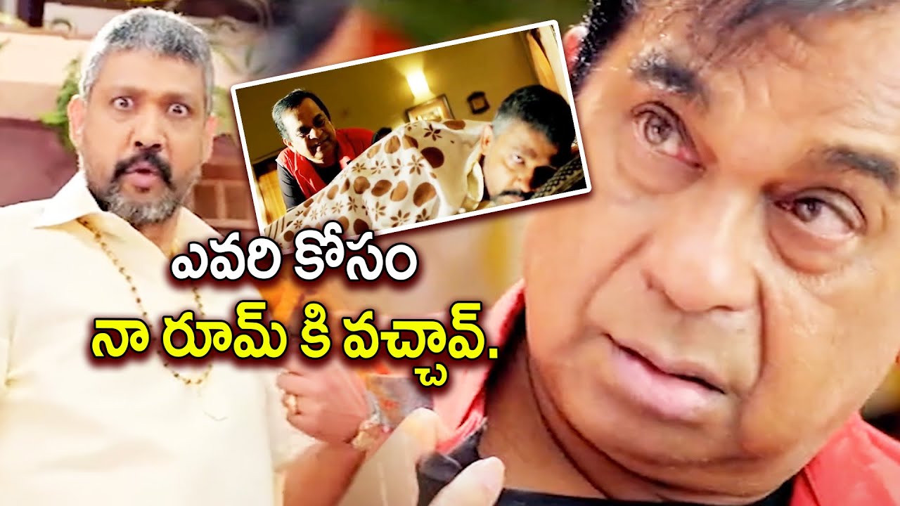 Brahmanandam Excellent Comedy With Sampath Raj || TFC Movies Adda - YouTube