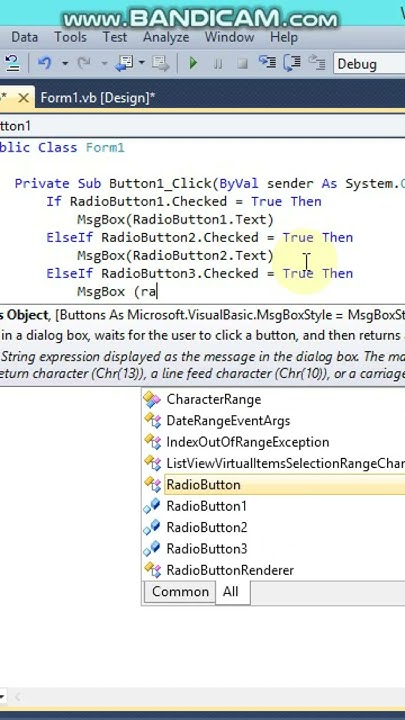 How To Use Radiobutton In Vbnet Youtube