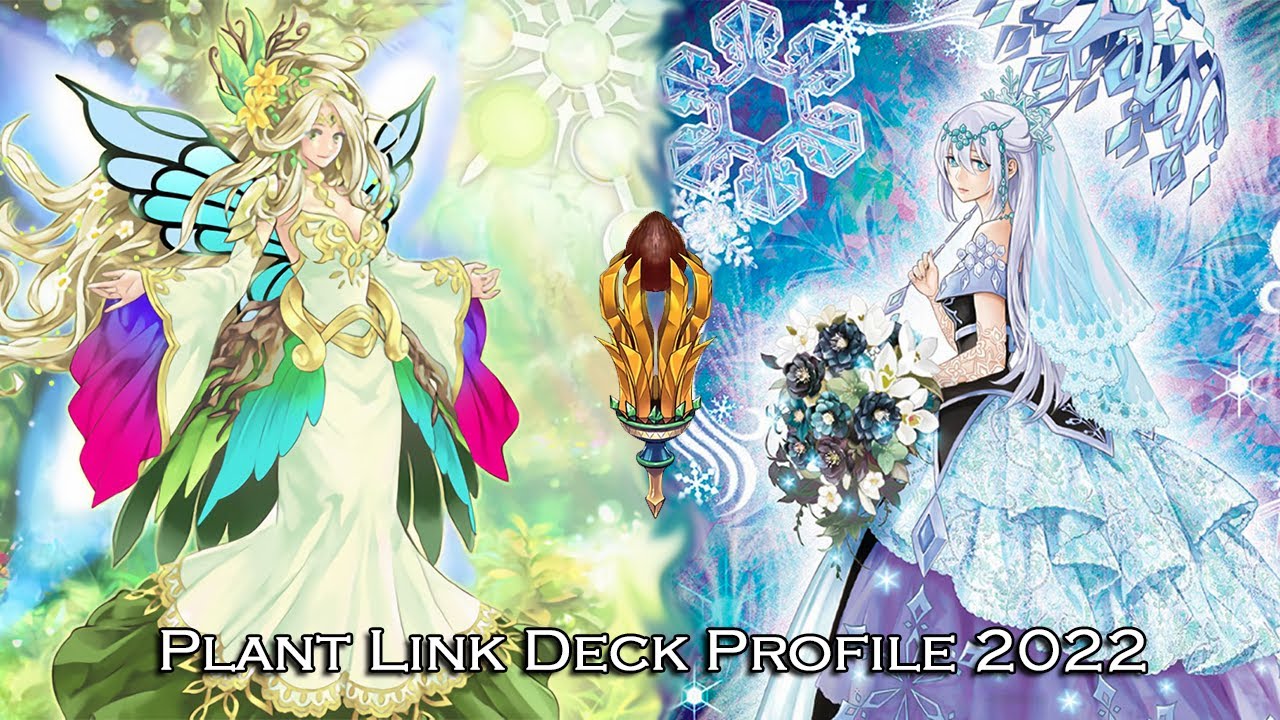 Plant Link Deck Profile and Combo Tutorial 2022! Crazy Endboard With ...