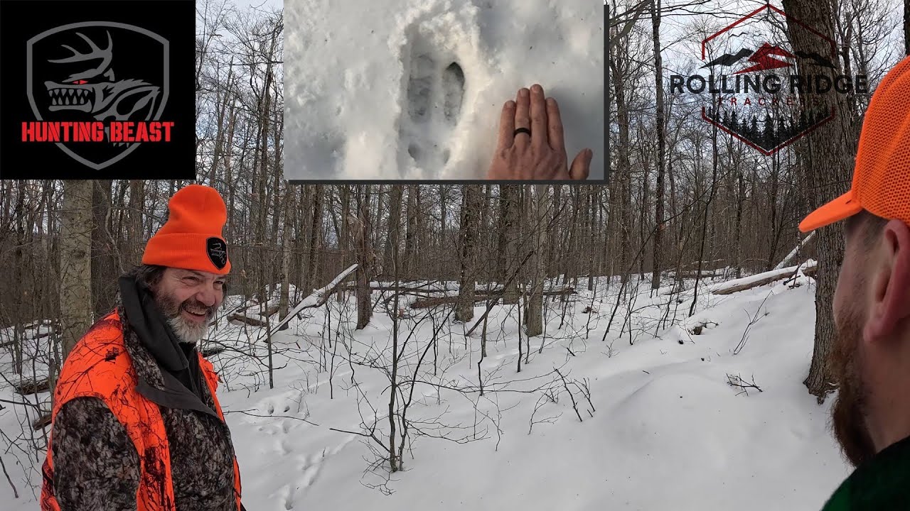 Hunting Beast in the Northeast | With Dan Infalt Tracking a Buck - YouTube