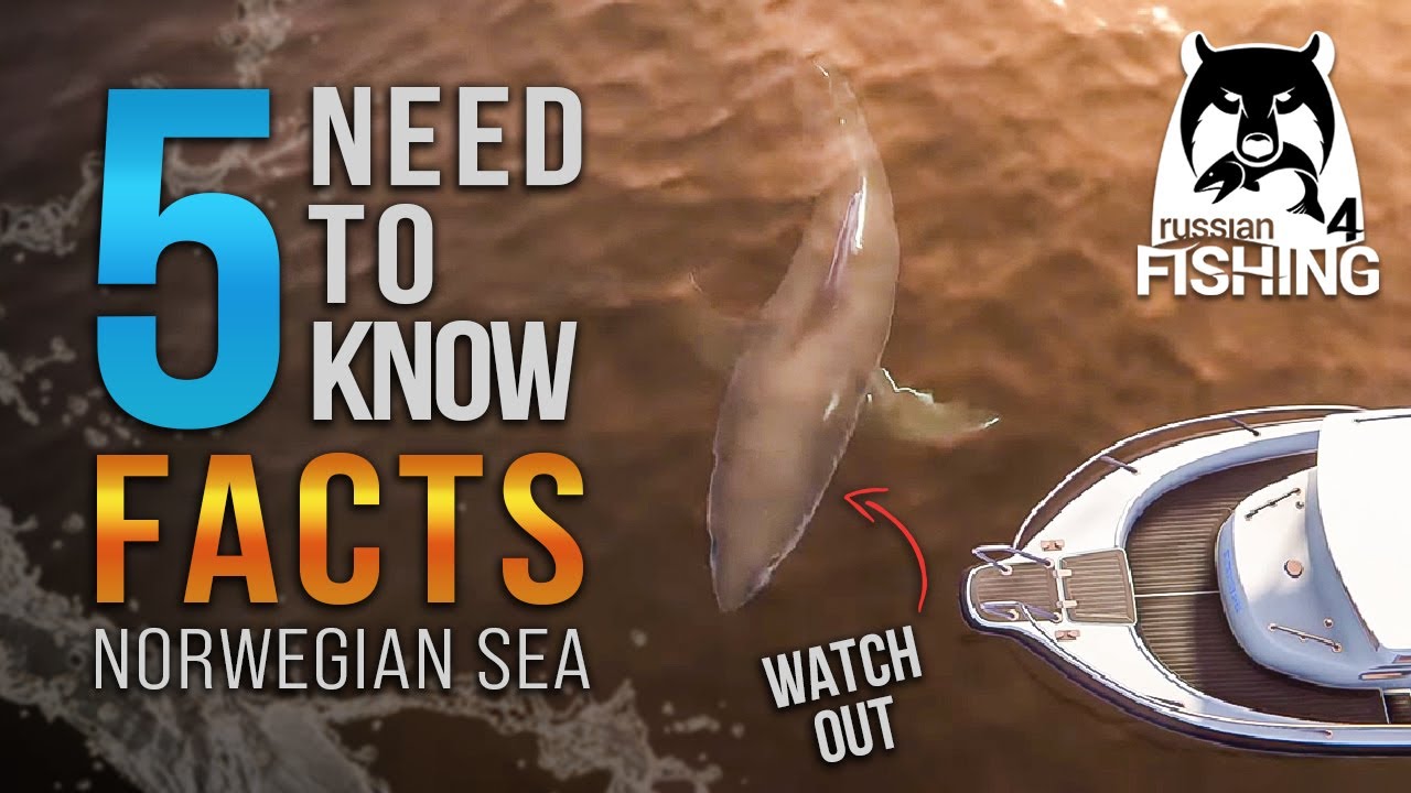 5 FACTS you need to know! The Norwegian Sea (RF4) [Ocean Fishing ...
