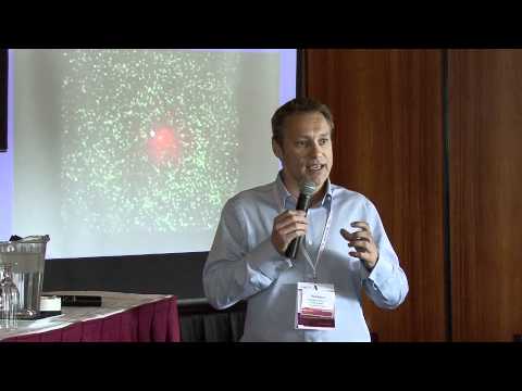 Paul Kubes, PhD, University of Calgary - YouTube