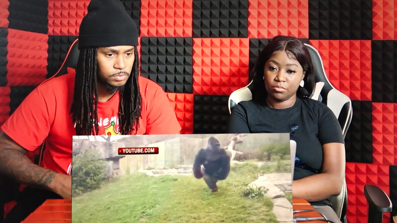 10 INSANE Animal Encounters in the Wild Caught on Camera in 2020 ...