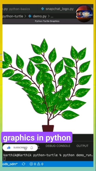 graphics in python #shortsfeed #pythonturtle #shortvideo #shorts # ...