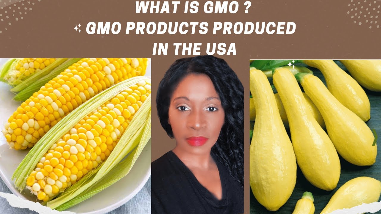 GMO Foods-What is GMO - YouTube